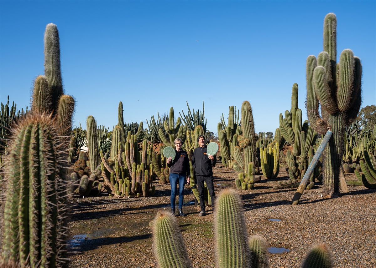 MasterChef Australia comes to the Moira Shire! Moira Shire