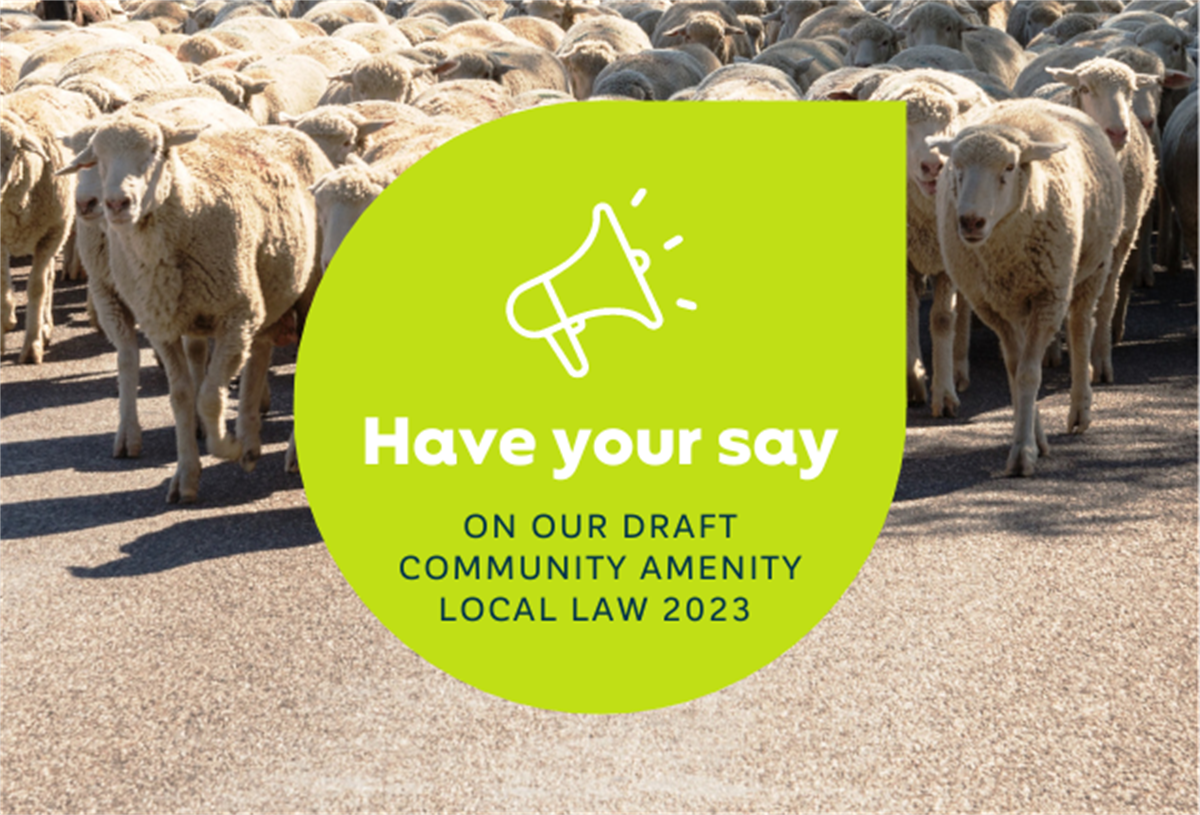 Draft Community Amenity Local Law Moira Shire Draft Community Amenity Local Law Moira Shire