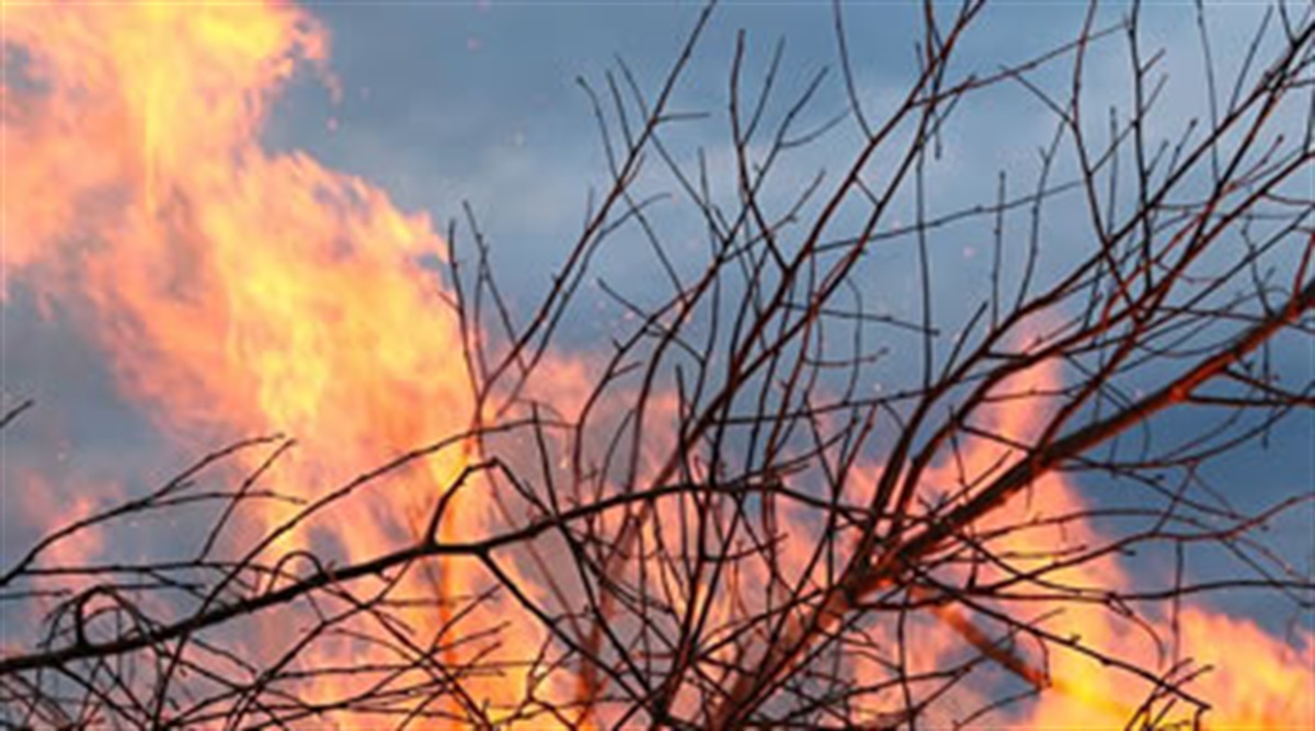 Bush fire attack level Moira Shire