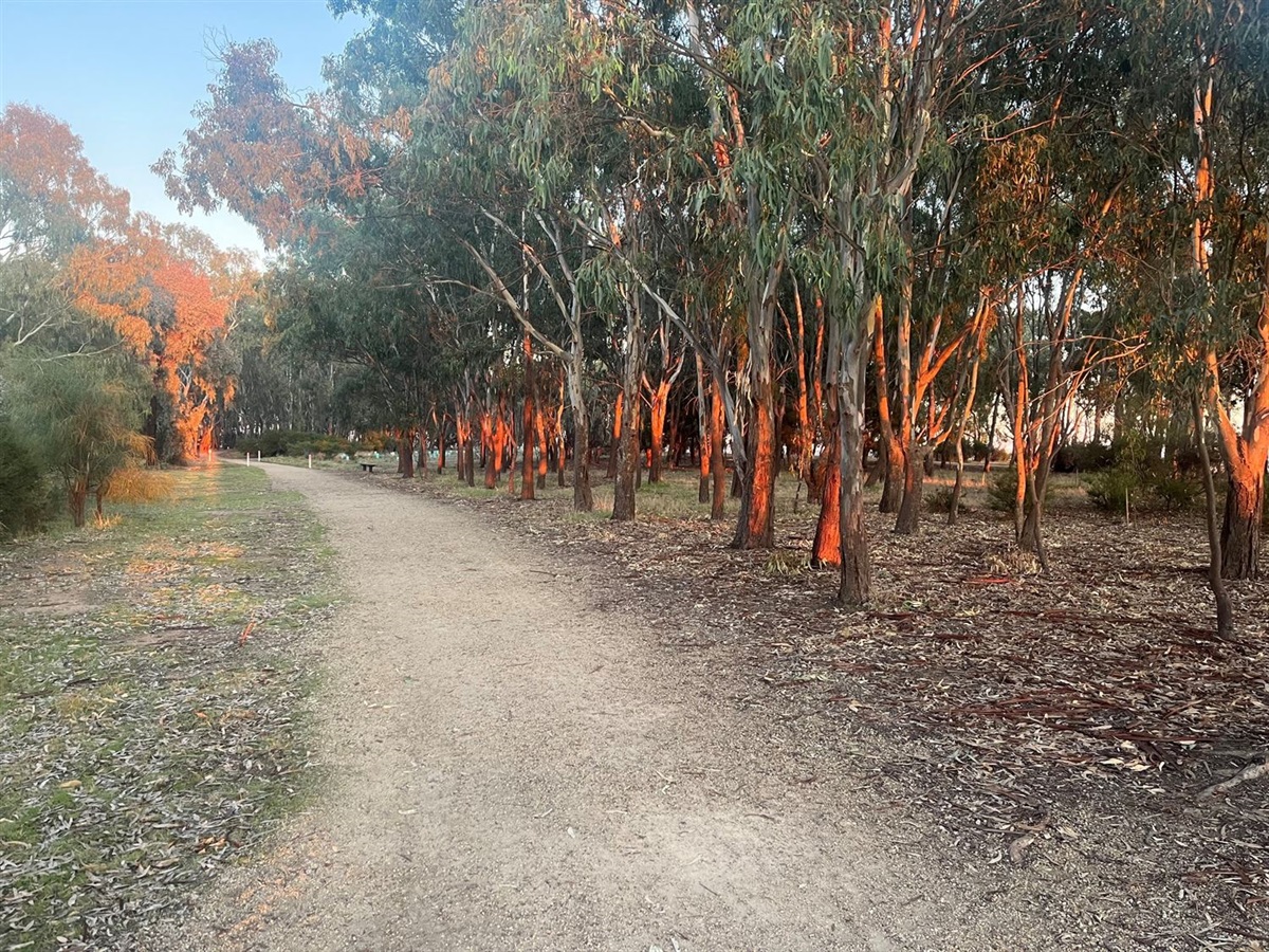 Moira Shire Open Space Strategy Moira Shire Moira Shire Open Space Strategy Moira Shire