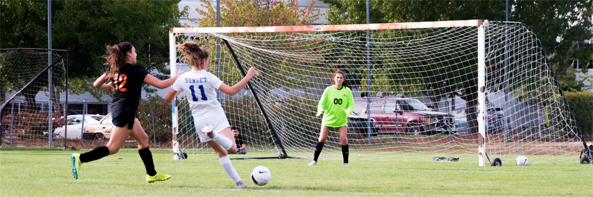 Draft Fair Access Policy and Action Plan Moira Shire